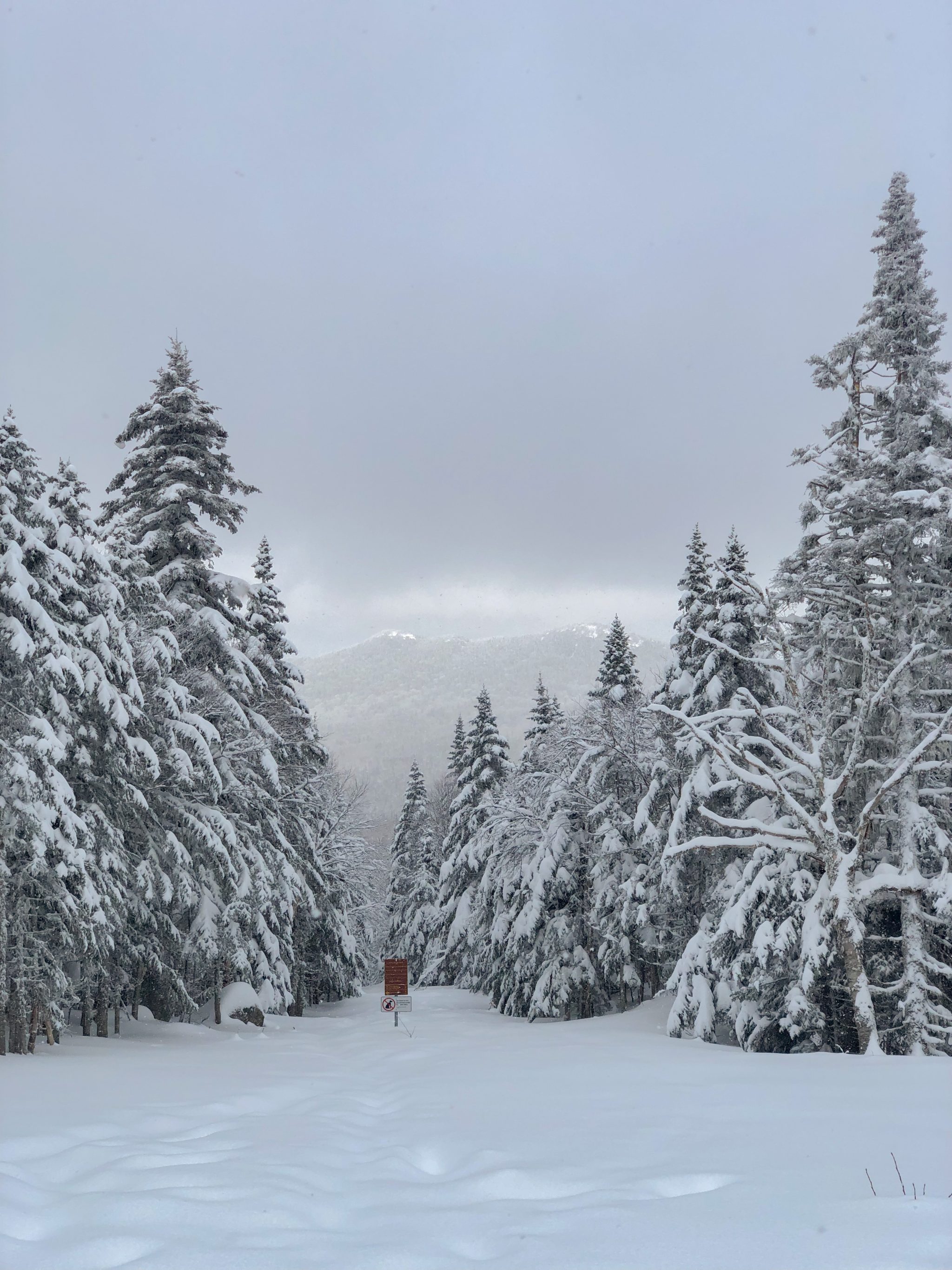 12 meilleurs parcs nationaux à visiter en hiver au Québec | Saintlo