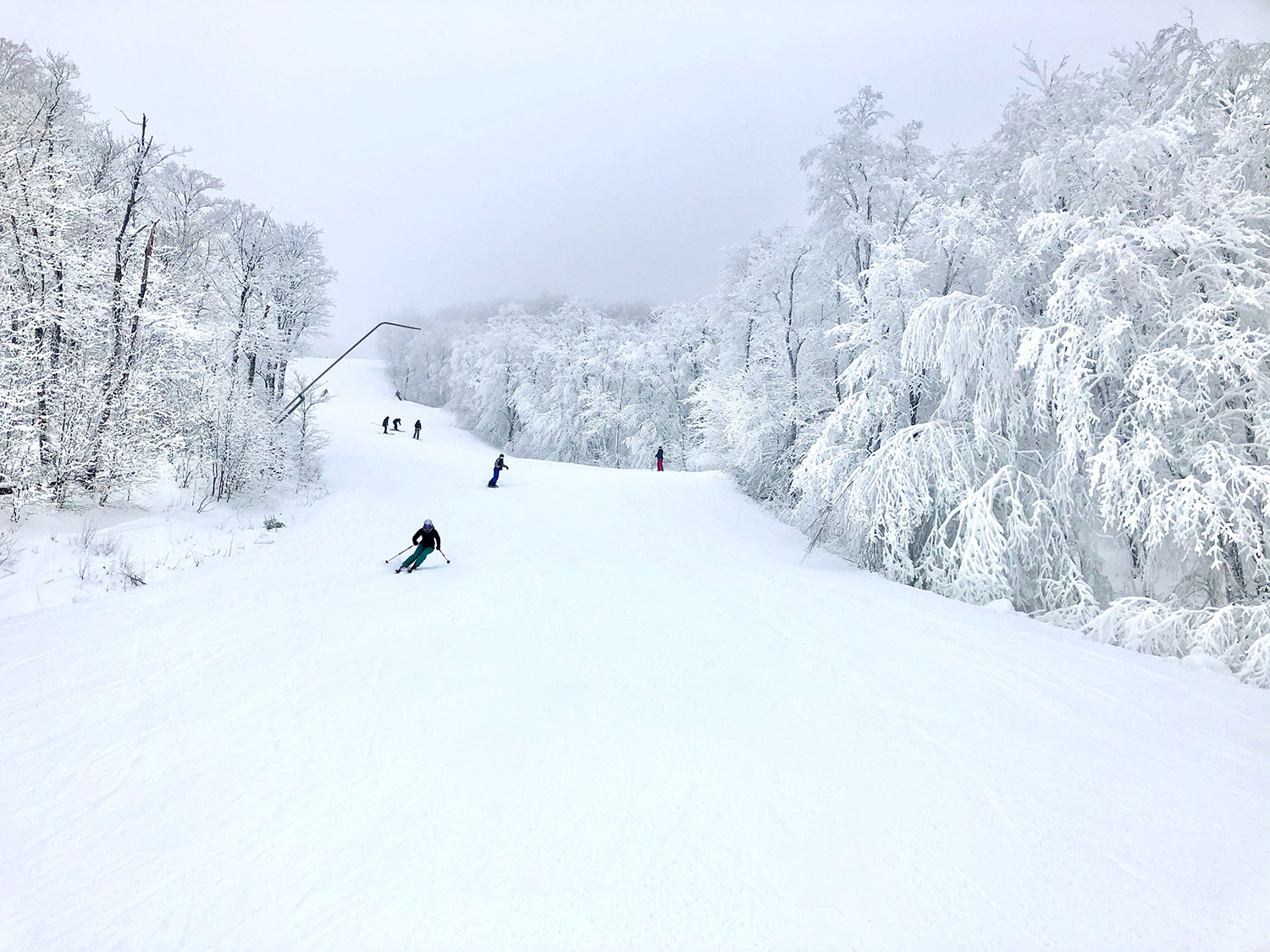 12 meilleurs parcs nationaux à visiter en hiver au Québec | Saintlo
