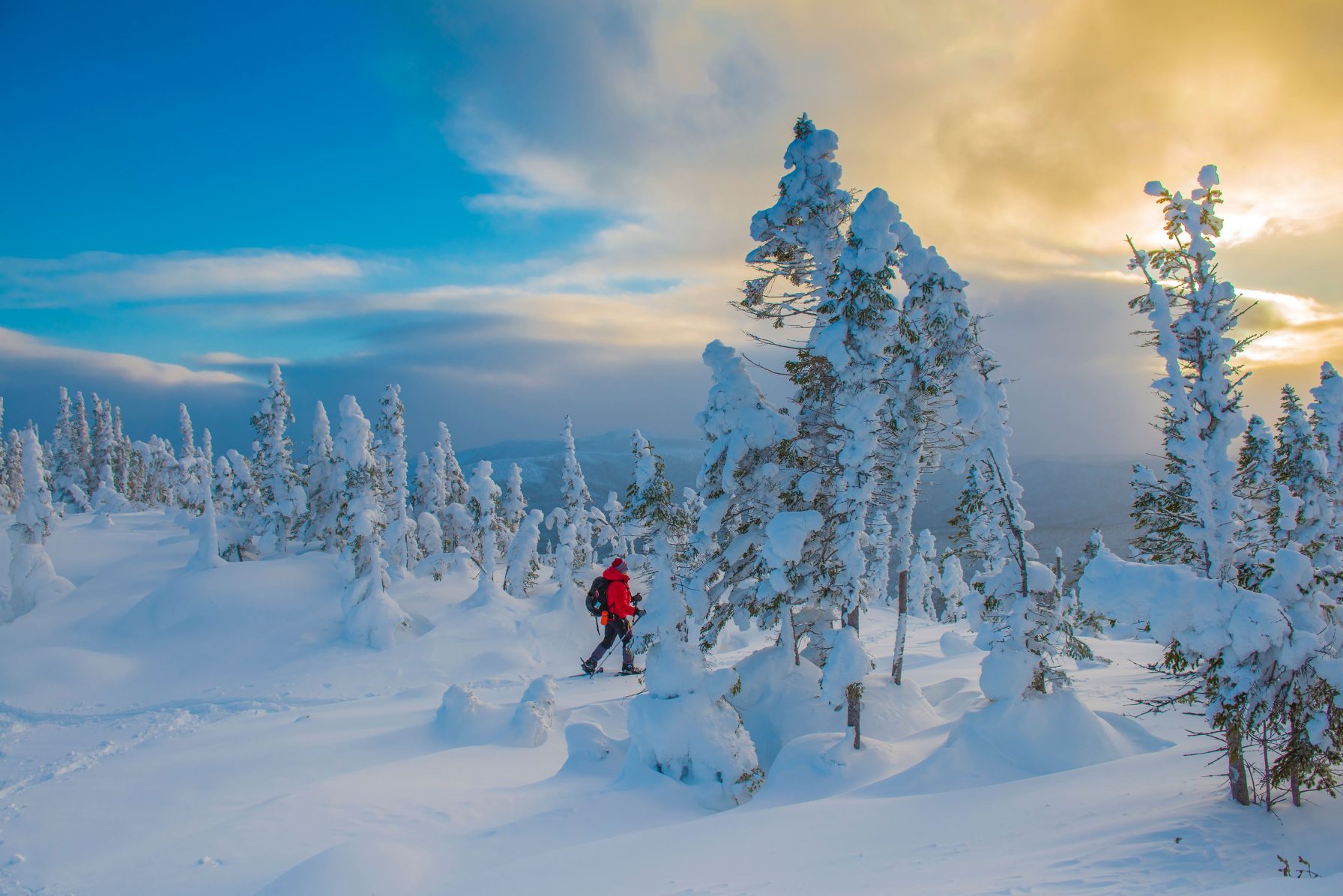 What are the best outdoor experiences in Gaspésie in winter ? | Saintlo